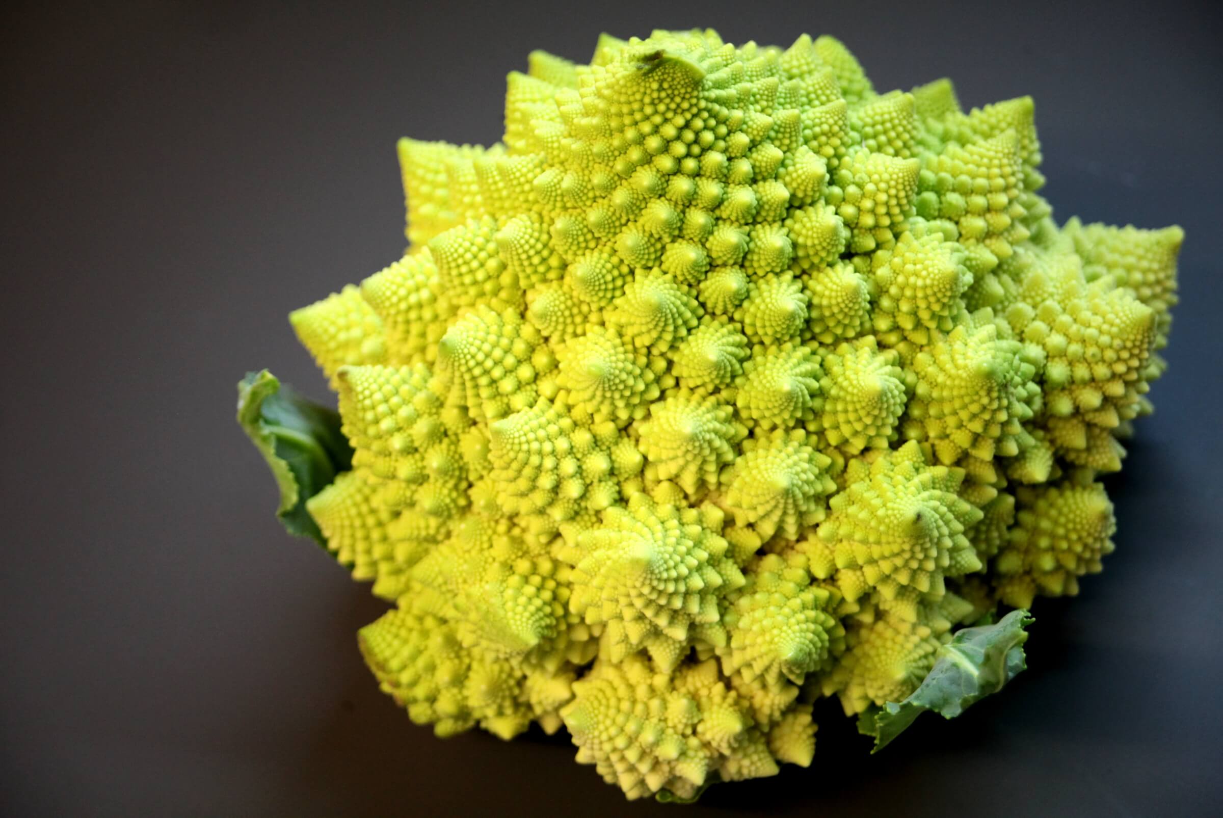 Sendepause – Vive la réduction!